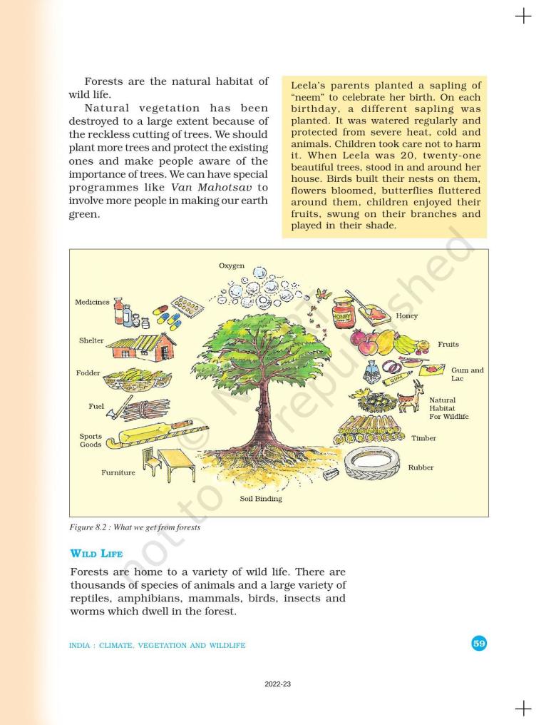 Ncert Book For Class 6 Social Sciencegeography Chapter 8 India