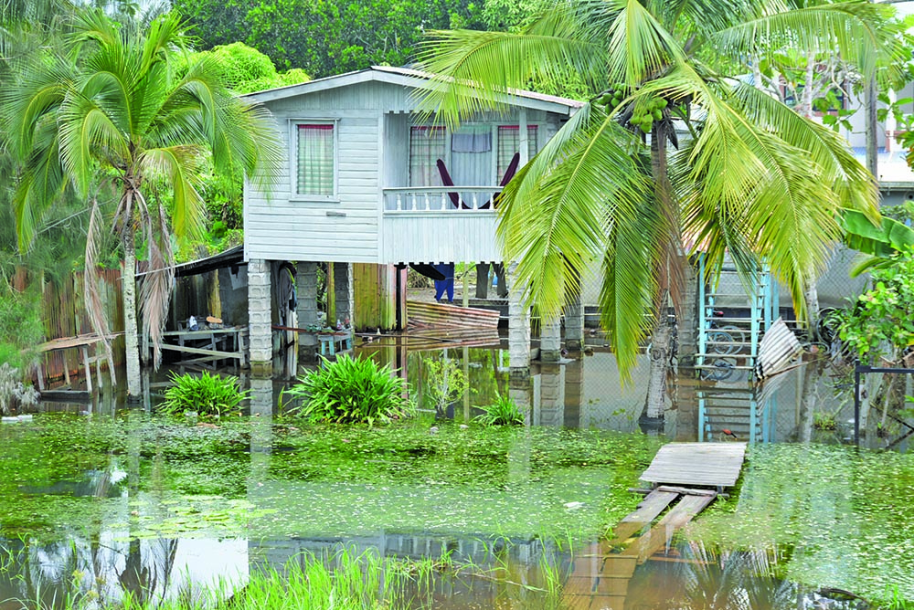 Canal No 1 Flooding Farmers Estimate Losses In The Millions Inews Guyana