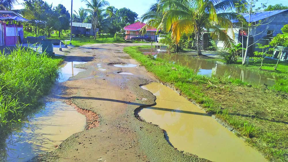 Blocked Drains Cause Flooding In Essequibo Coast Inews Guyana