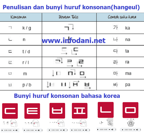 Bunyi Konsonan Contoh Huruf Vokal Dan Konsonan Penger