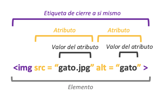 Etiquetas Y Atributos En Html Irina Delgado