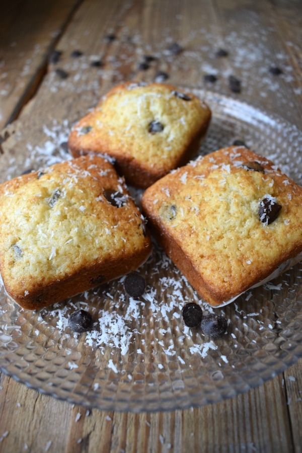 Chocolate Chip Coconut Cake Squares Julias Cuisine