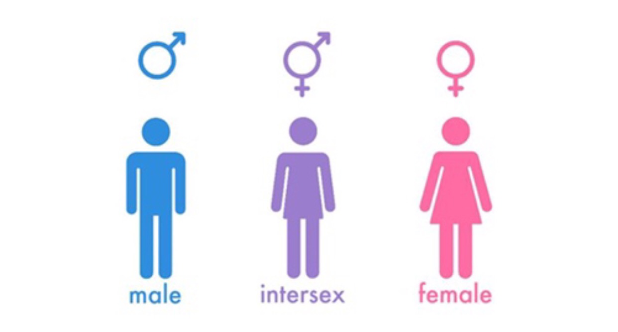 An Introduction To Intersex Aka Hermaphroditism Jeffrey Sterling Md