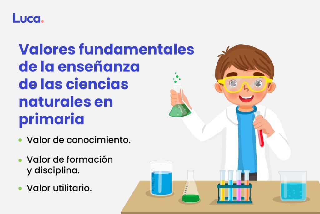 Por Qué Es Importante Enseñar Ciencias Naturales En Primaria