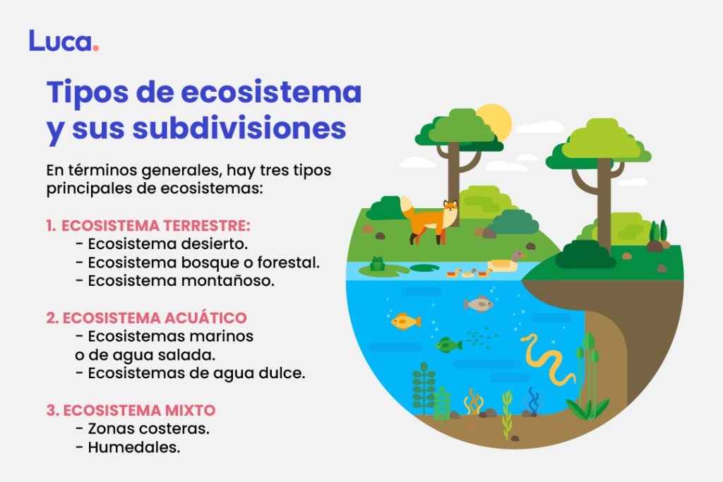 Tipos De Ecosistemas Y Sus Caracteristicas Generales Actualizado Porn