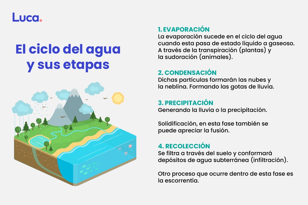 El Ciclo Del Agua Proceso Fundamental Para La Vida