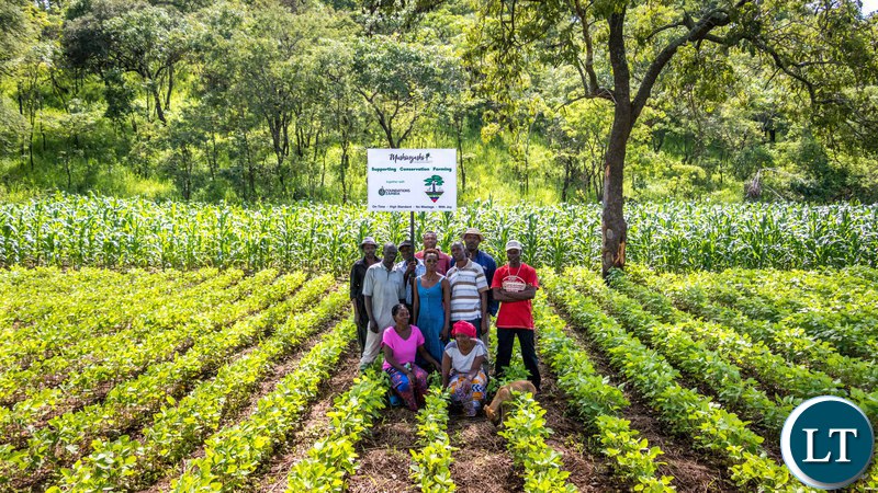 Zambia One Acre Fund Zambia To Help 16 000 Farmers With Agriculture