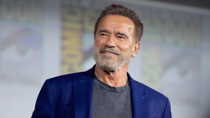 Arnold Schwarzenegger Será Productor Y Protagonista De Stan Lees