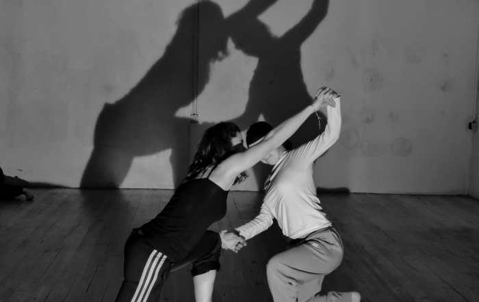 Autres Projets La Fabrique De La Danse