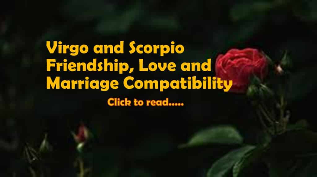 Virgo Scorpio Compatibility Friendship Love And Marriage Life In Vedas