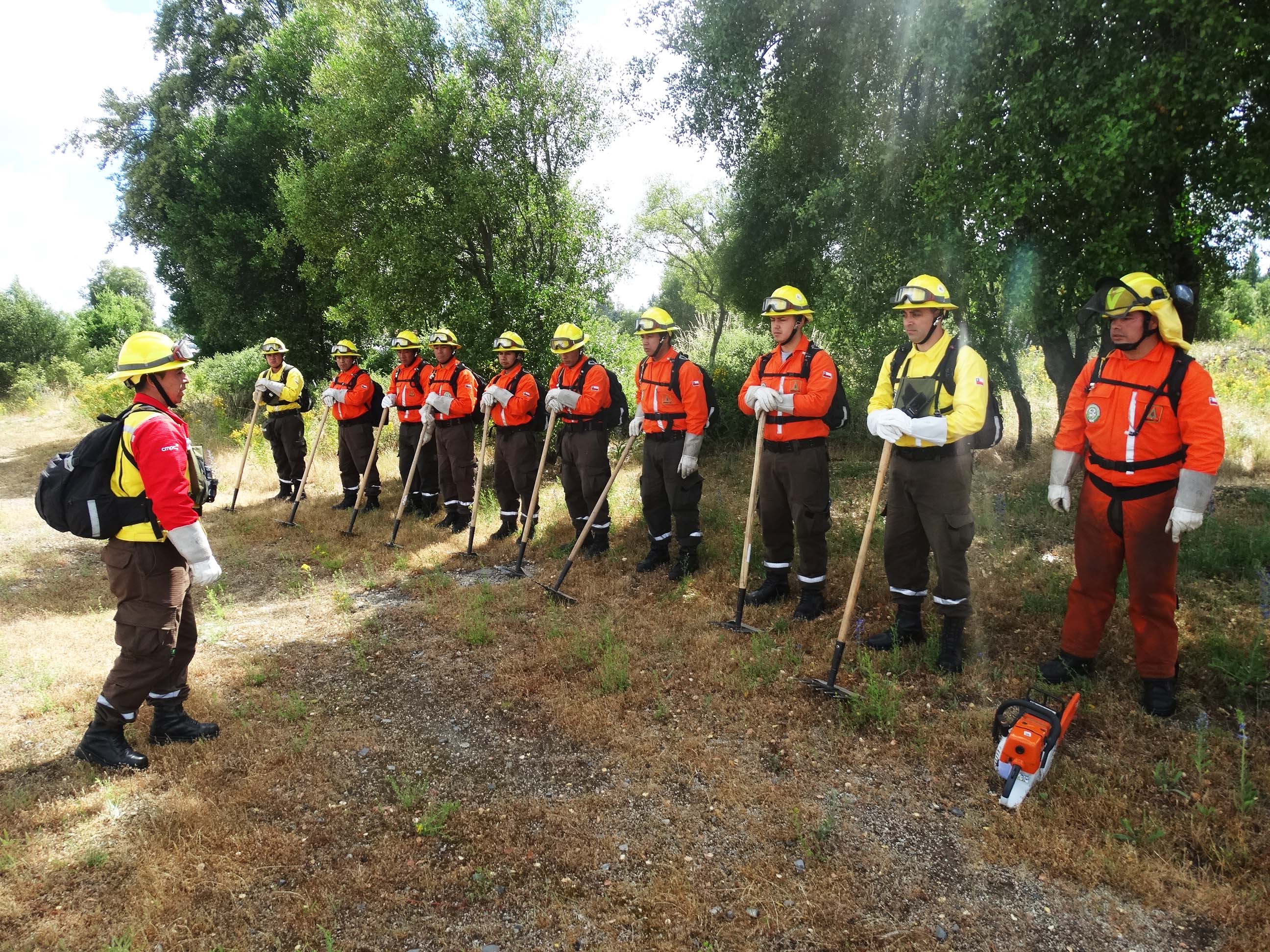 Empresas Forestales Aumentan En Un 17 La Dotación De Brigadistas Para