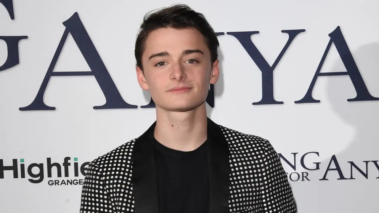 Noah Schnapp Comes Out As Gay 6 Things To Know About The Stranger