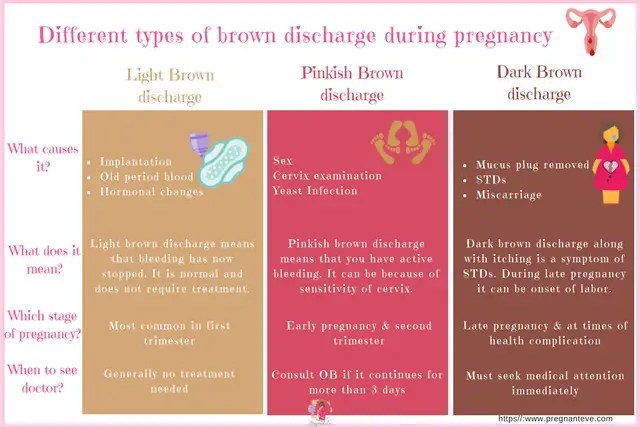 Brown Discharge During Pregnancy Reasons Types Complications