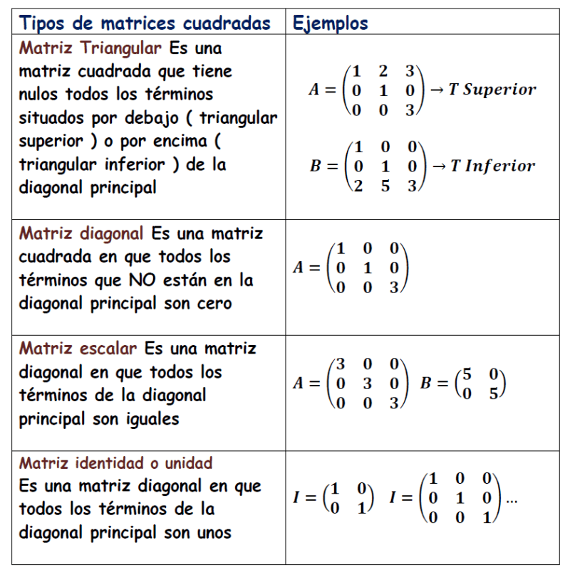 Tipos De Matrices Profesor10demates