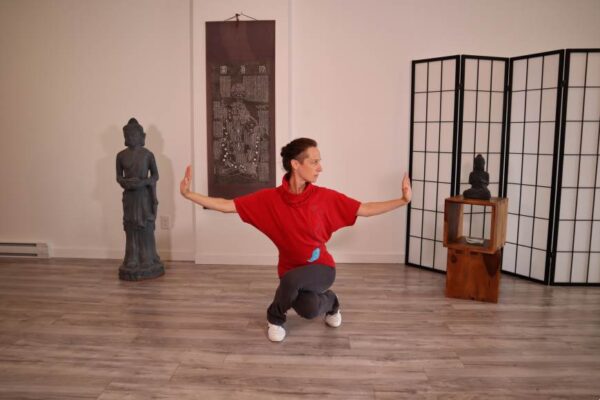 Qigong Des 5 Organes Harmoniser Le Qi Du Foie Printemps Qigong