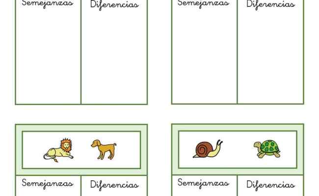 Ficha De Semejanzas Y Diferencias Para Primero De Primaria Bilarasa