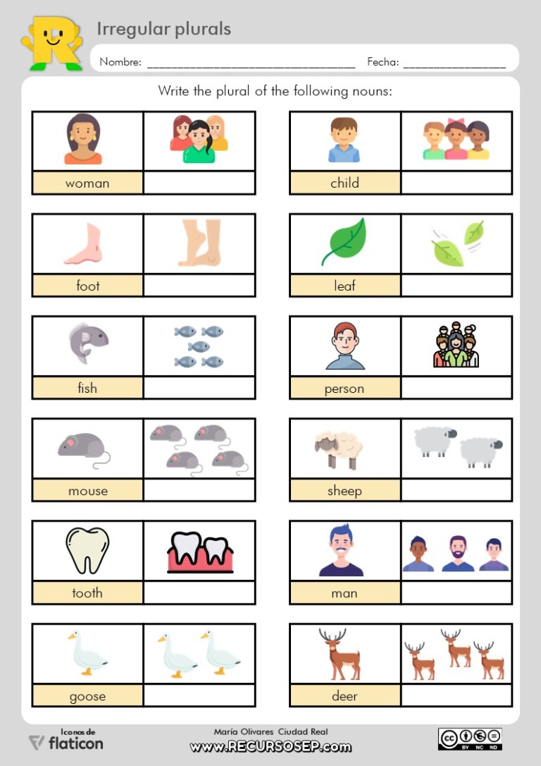 Irregular Plural Nouns