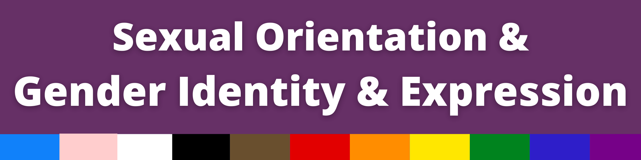 Sexual Orientation Gender Identity And Gender Expression Reconcilingworks