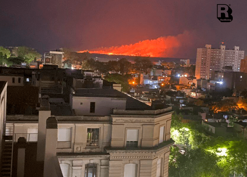 El Ministerio De Ambiente Denunciará A Los Dueños De Los Campos Que