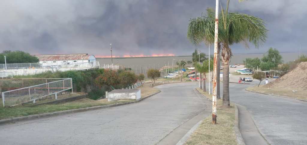 La Provincia Pidió Peritajes En La Islas Por Los Tremendos Incendios De