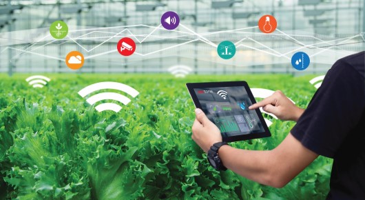 Iot Based Farming Agriculture Meets Technology Redtone