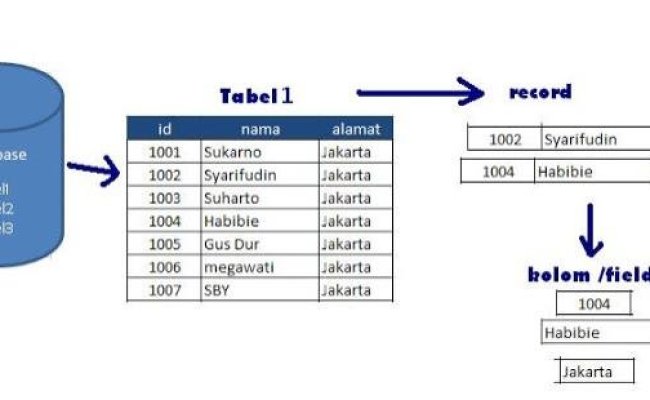 Struktur Database Database Adalah Ciri Komponen Struk