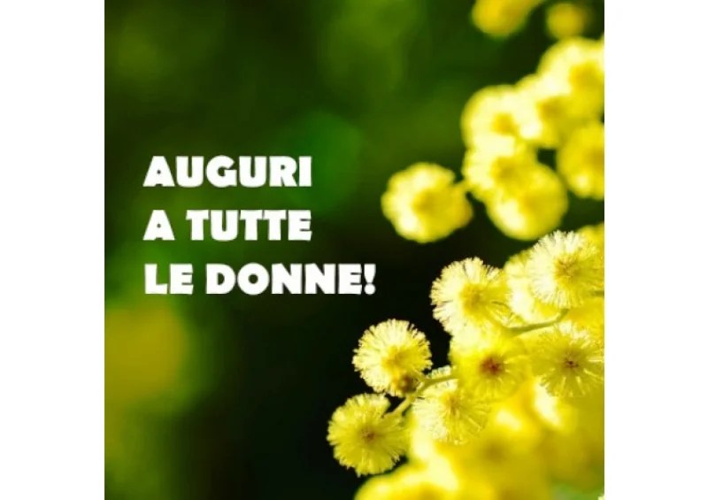 Goauguri Auguri Mimose Per La Festa Delle Donne