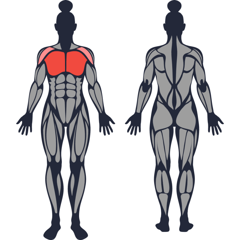 How To Do Dumbbell Chest Fly Muscles Worked And Proper Form Strengthlog