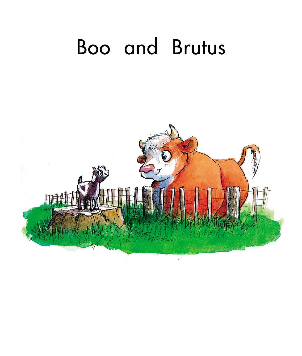 Boo And Brutus Ins Sunshine Books New Zealand