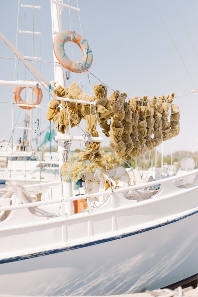 Tarpon Springs Sponge Docks Sara Magnolia