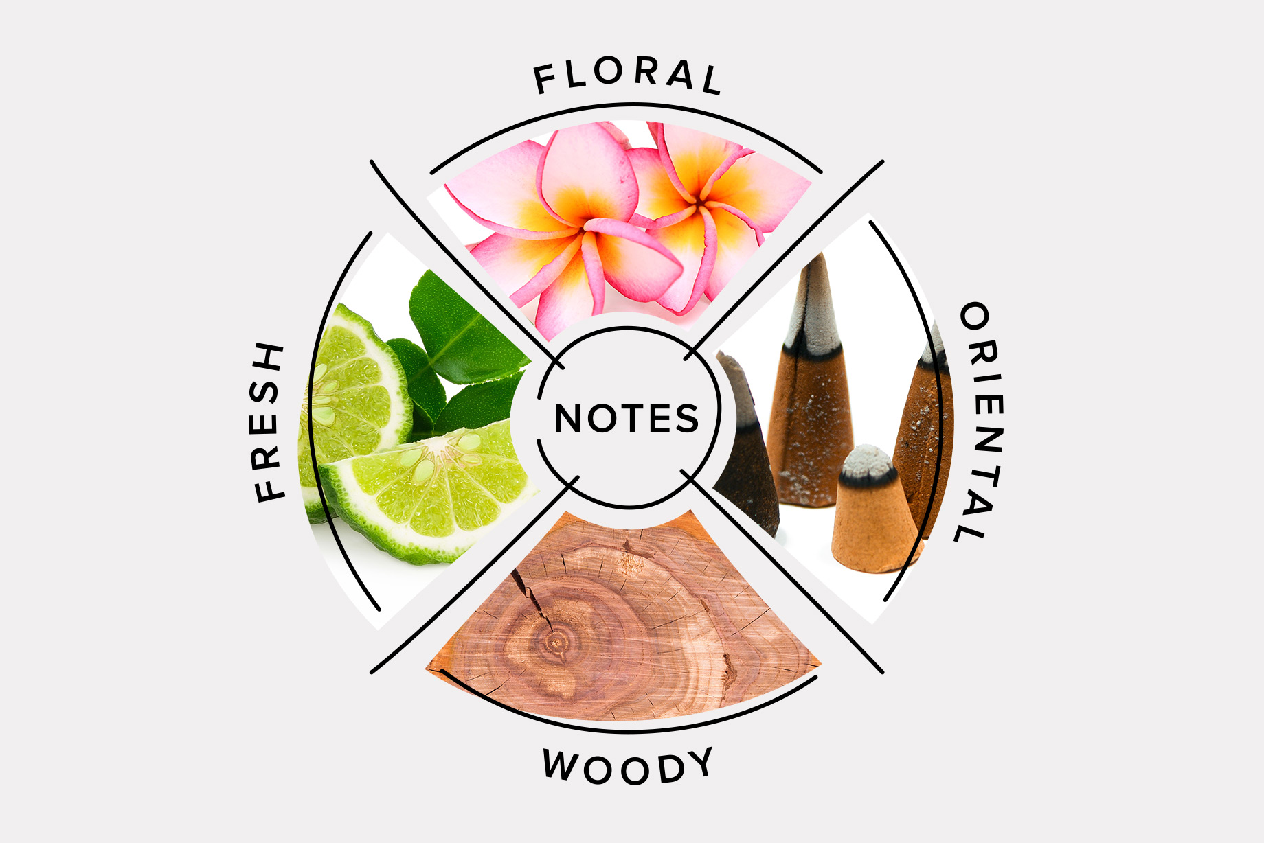 Know Your Perfume Fragrance Classification And Categories Scentbird