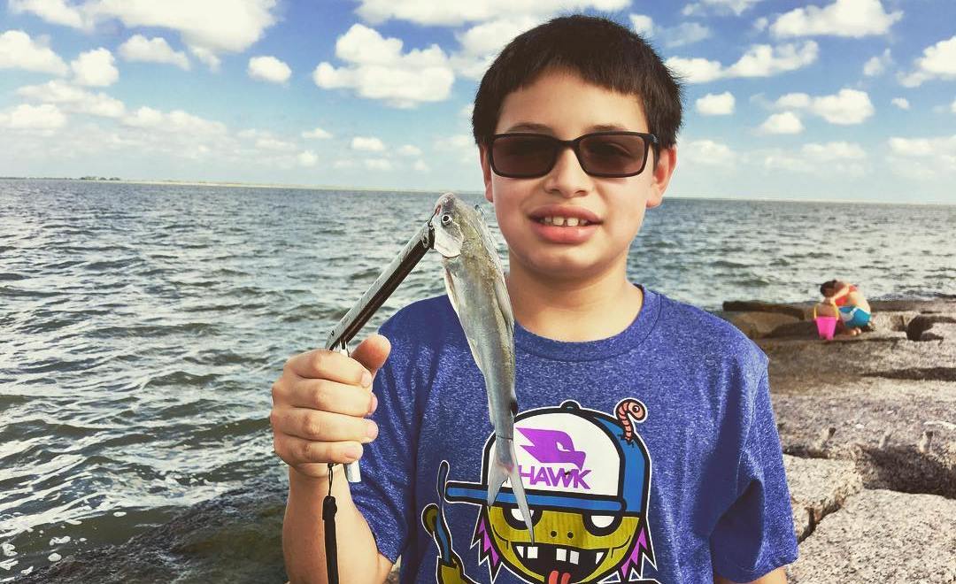 Independence Day Sea Cats Caught And Released Skiff Life