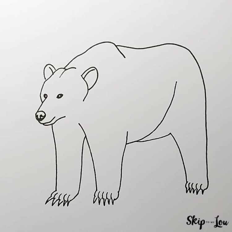 How To Draw A Bear Step By Step Easy