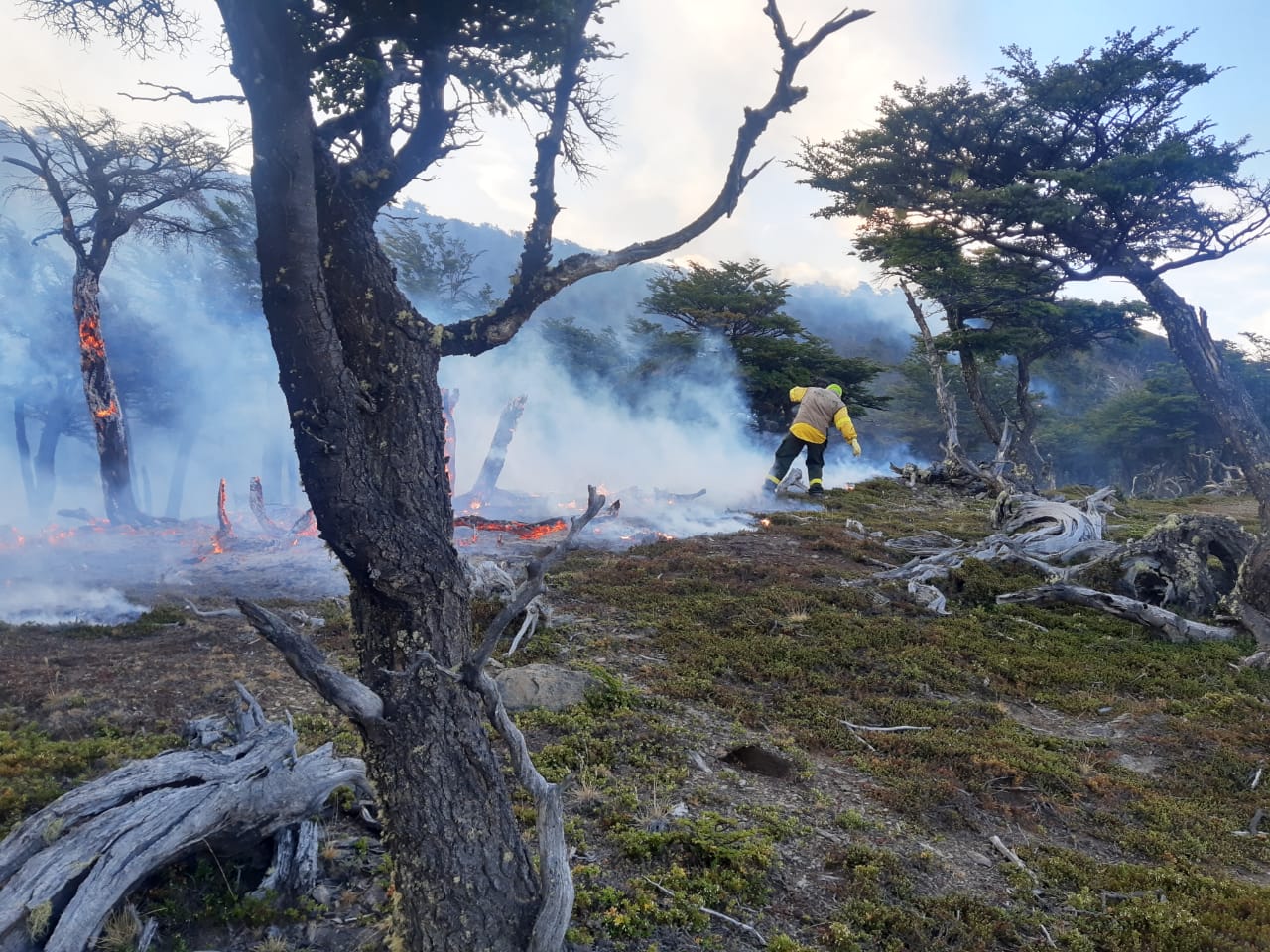 Reporte Oficial Por Los Incendios En Argentina Dos Provincias