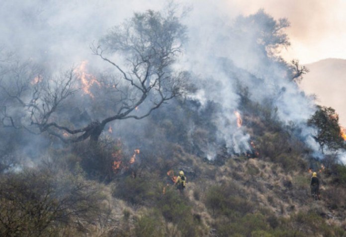 Reporte Oficial Por Los Incendios En Argentina Lograron Extinguir El