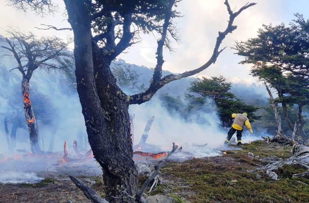 Reporte Oficial Por Los Incendios En Argentina No Se Registran Focos