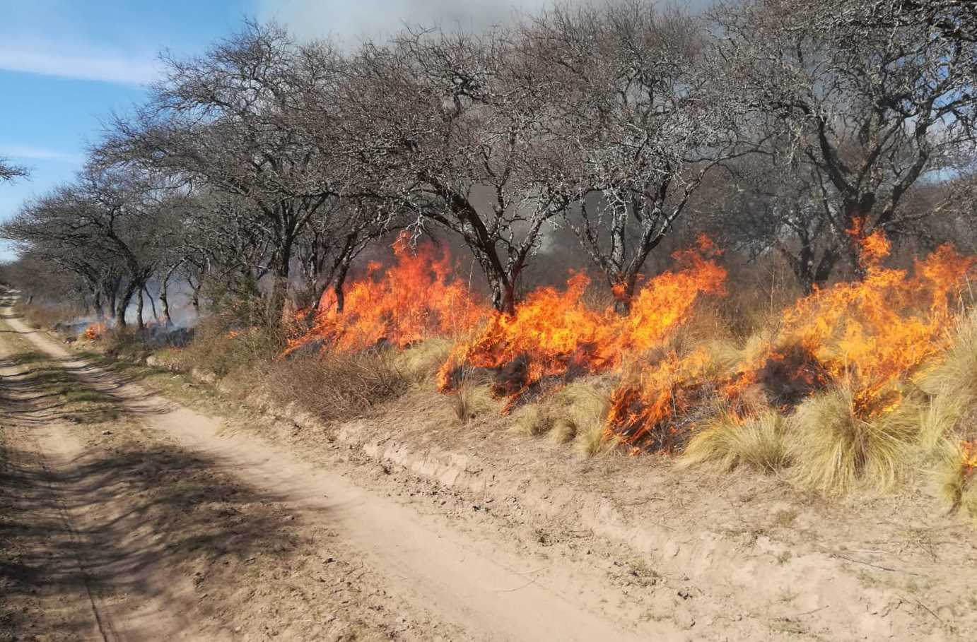 Reporte Oficial Por Los Incendios En Argentina Quedaron Tres