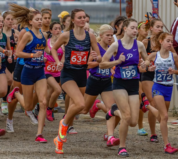 Several Downriver Area Competitors Run Strong At Cross Country State