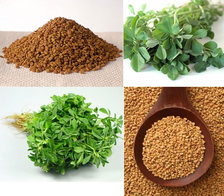 5 Health Benefits Of Fenugreek Seeds Theayurveda