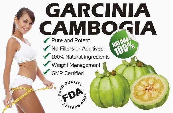 Top 10 Amazing Health Benefits Of Garcinia Cambogia Theayurveda