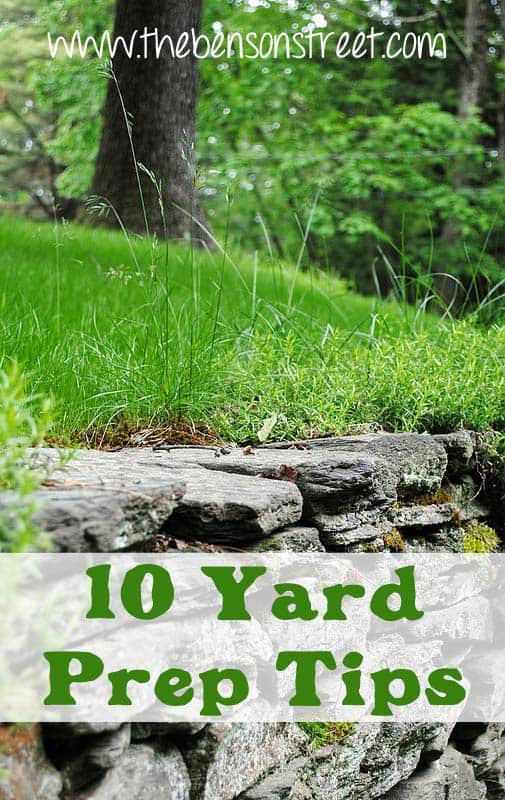 10 Tips To Prepare Your Yard For Spring The Benson Street