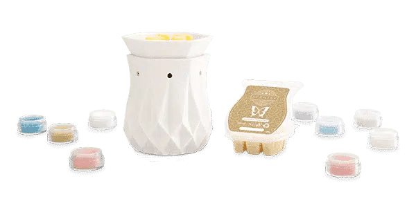 What Is In A Scentsy Starter Kit Scentsy Uk Uk