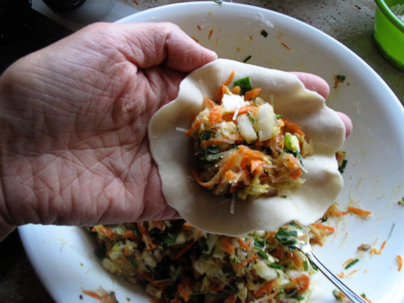 Homemade Fresh Dumpling Skin Recipe