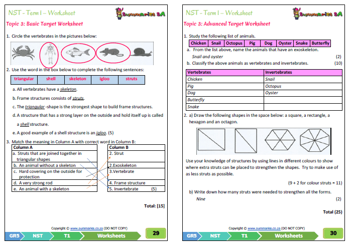 Grade 5 Natural Sciences And Technology Term 1 Nst Tes