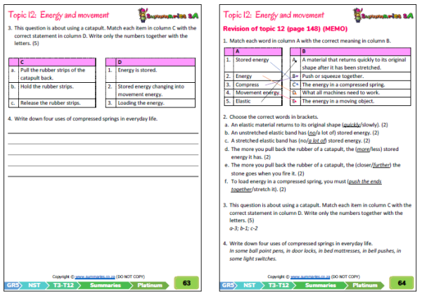 Grade 5 Natural Sciences And Technology Term 3 Nst Platinum Tes