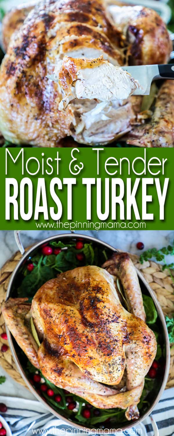 27 Best Turkey Recipe In Electric Roaster Images Backpacker News