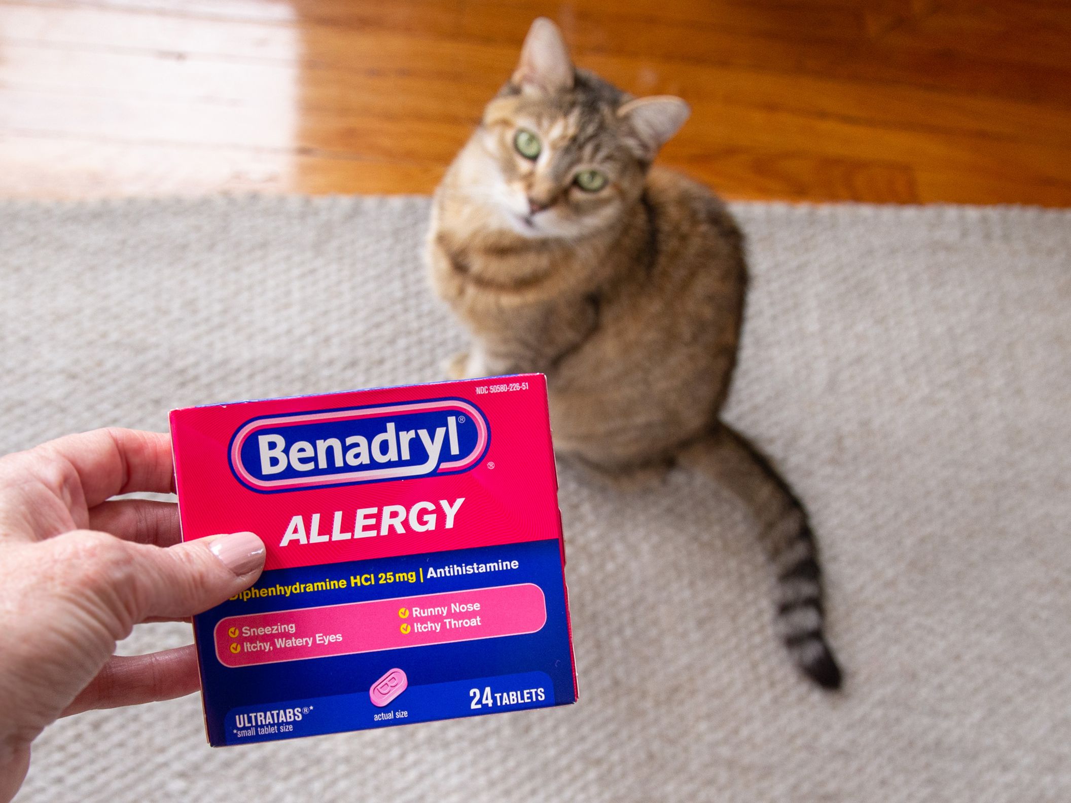 39 Can You Give Dogs Benadryl To Calm Them Down Home