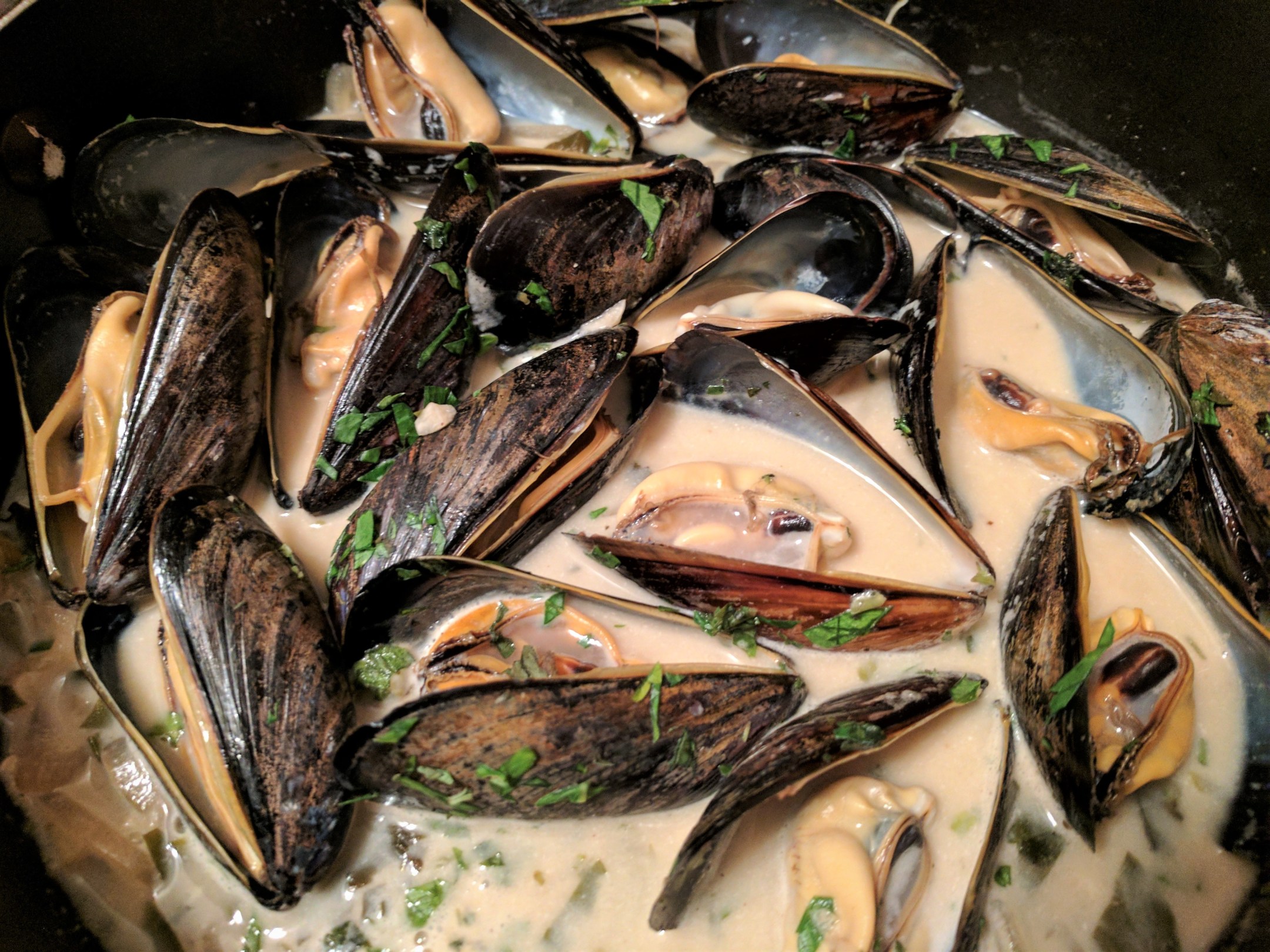 Steamed Mussels In A Creamy White Wine Broth Tillys Tasty Table