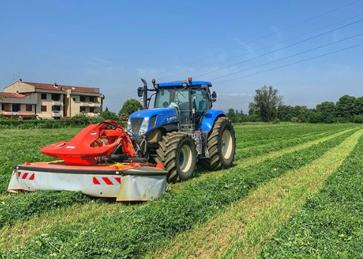 Cómo Iniciar Una Granja O Finca Su Guía Completa Para El éxito Todo