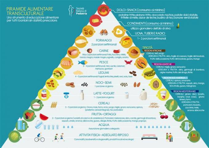 Piramide Alimentare Per Bambini Introdotti Nuovi Alimenti